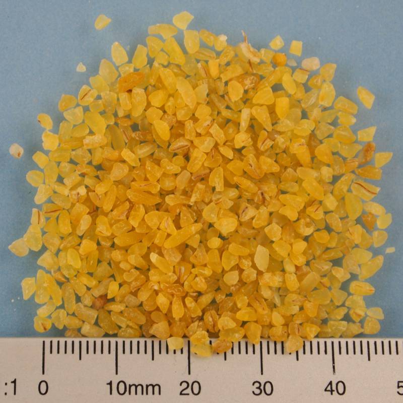 Organic alpha wheat | Bulk | Food Producer