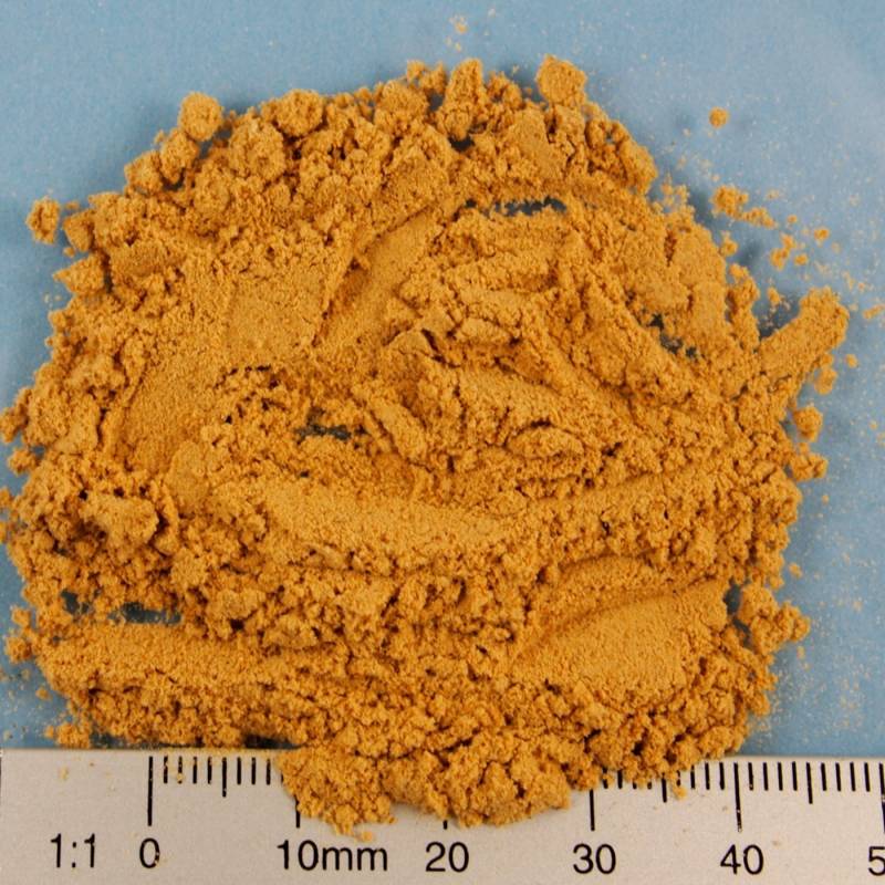 Organic ginger powder | Bulk | Food Producer