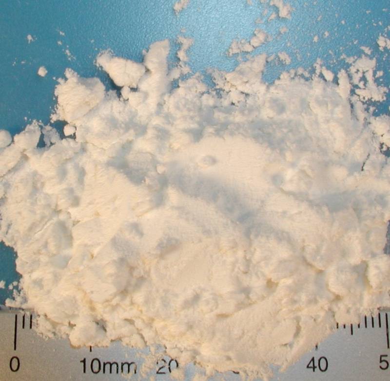 Organic corn starch native | Bulk | Food Producer