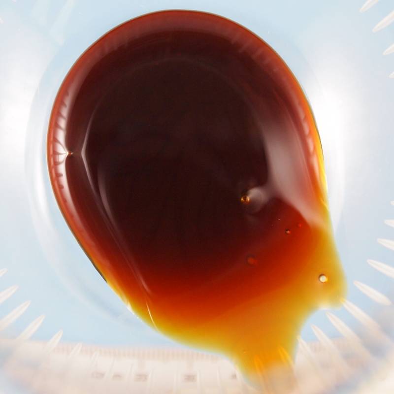 Organic beet syrup | Bulk | Food Producer